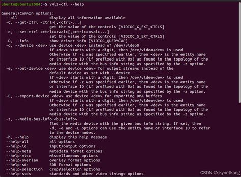 Linux V4l2框架介绍 Csdn博客