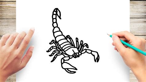 How To Draw A Scorpion Easy Step By Step Youtube