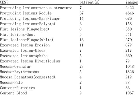 Distribution Of 52 Wce Lesions Download Scientific Diagram