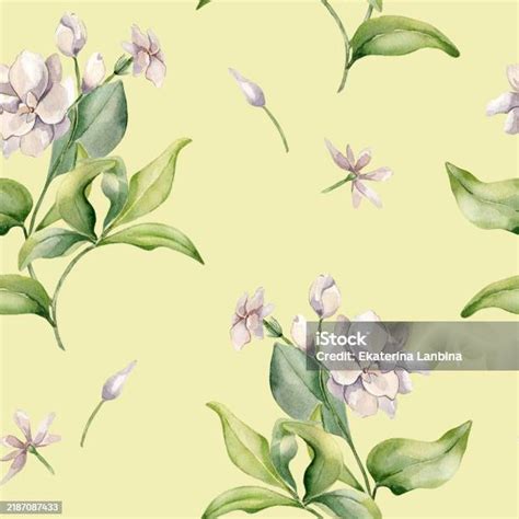 수채화 완벽 한 패턴 재스민 덤불 새싹 잎 절연 분홍색 꽃 식물 식물 스타일 반복 질감 바탕 그림 손 그림 옅은 색조의 꽃 배경