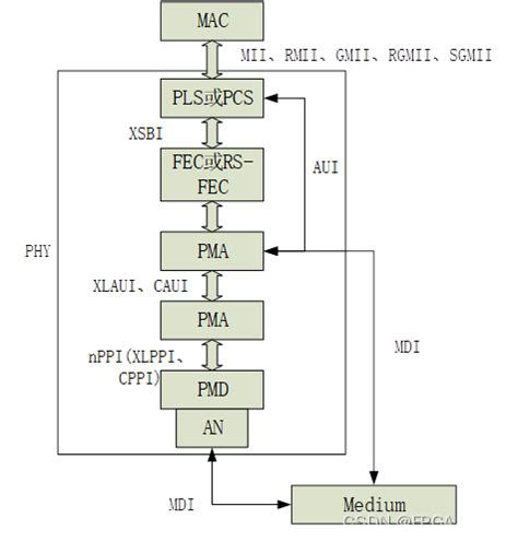 FPGA平台以太网学习MAC与PHY间通信 phy和mac的自协商 CSDN博客