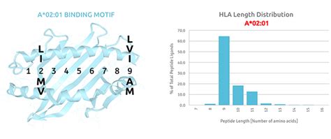 HLA Technology Pure Protein LLC
