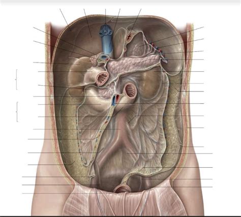 Inside 3 13 Diagram Quizlet