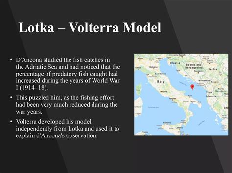 Lotka Volterra Model Pptx