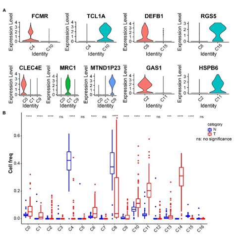 A Violin Plot Of Expression Of Characteristic Genes In Cell Clusters Download Scientific