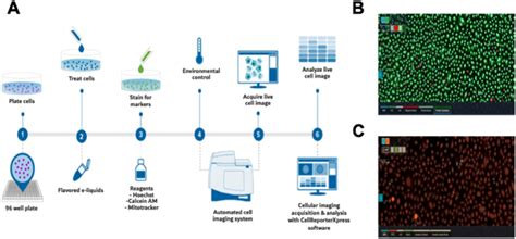 a the high throughput approach taken to assess the toxic effects of