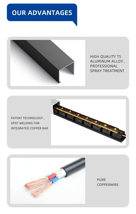 19inch Rack Mounted Iec C13 Pdu With Switch Surge Protector