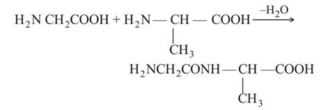 In The Given Reaction Name The Dipeptide Which Is Formed In The Above