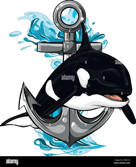 Killer Whale Mascot And Anchor Icon Stock Vector Image And Art Alamy