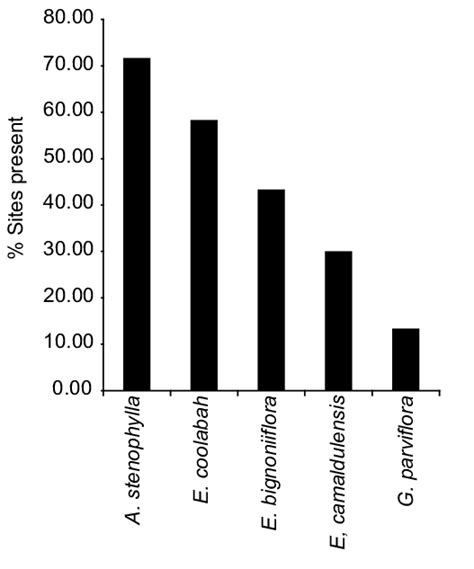 70 Distribution Of Most Common Tree Species Amongst Surveyed Sites