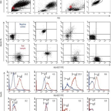Fc Hla B27 Typing Using The Two Immediate Methods The Black And Blue Download Scientific