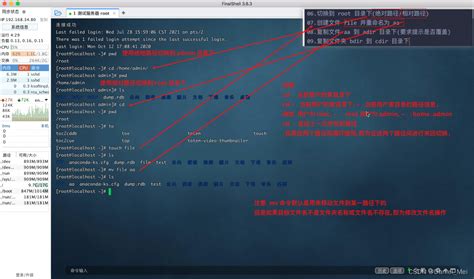 linux终端常用命令详解：文件操作、路径管理、编辑器与软件管理 csdn博客