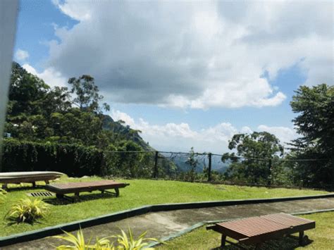 Ella GIF Ella Discover Share GIFs Ella GIF Ella Discover Share GIFs