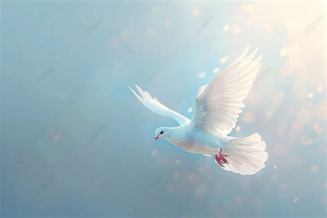 국제 평화의 날 푸른 하늘을 배경으로 날아다니는 흰 비둘기 상징의 새 아름다운 새 비둘기 배경 배경 일러스트 및 사진 무료 다운로드 Pngtree