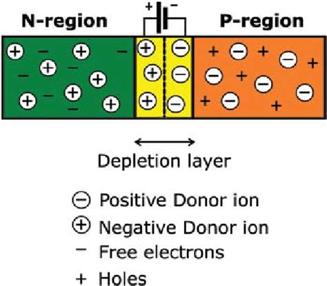 7 Pn Diode Internal Structure At Zero Bias Download Scientific Diagram