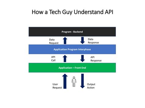 Explaining Api For Dummies Ppt