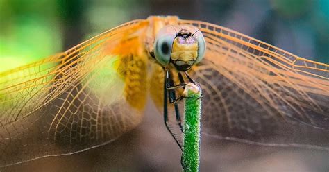 L̷u̷c̷k̷y̷ Lohithreddy • Instagram Photos And Videos