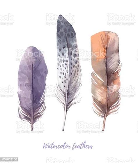 손으로 그린 벡터 그림수채화 깃털 컬렉션입니다 해당 Boho 설정합니다 흰색 배경에 고립 초대장 인사말 카드 포스터 지문에 대