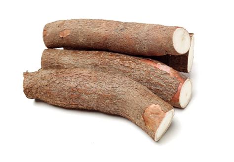 Cassava Isolated On White Background Stock Image Image Of Healthy