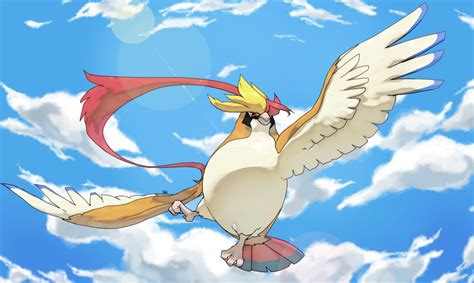 Mega Pidgeot By Pinkgermy On Deviantart