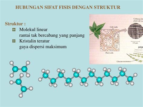 Ppt Kimia Polimer Powerpoint Presentation Free Download Id3608781