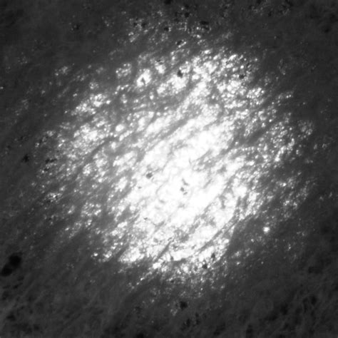 New Method For Real‐time Monitoring Of Photopolymerization By Uvvis Spectroscopy Request Pdf