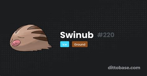 Swinub Dittobase Pokédex