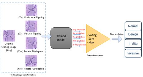 Data Augmentation Scheme Proposal In Testing Phase Download Scientific Diagram