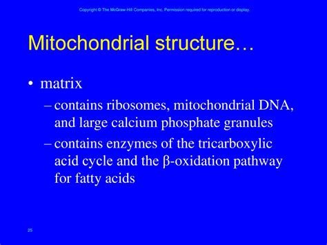 Eucaryotic Cell Structure And Function Ppt Download