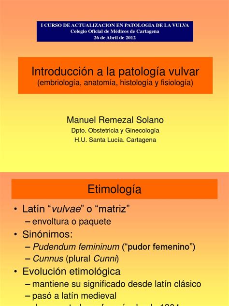 Anatomia Vulva R Pdf Labios Vagina