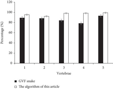 Comparison Of Segmentation Accuracy Of Different Vertebrae With