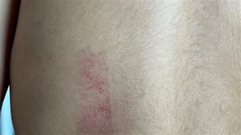 Учителка в детска градина във Витоша блъскала 4 годишно момиченце Новини бг