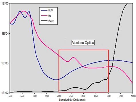 Figure 1 From Forearm And Hand Vein Detection System For An Infrared Image Database Semantic