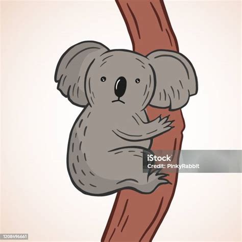 코알라 만화 스타일의 벡터 컬러 일러스트레이션입니다 나무에 귀여운 코알라의 그림 0명에 대한 스톡 벡터 아트 및 기타 이미지 0명 곰 귀여운 Istock