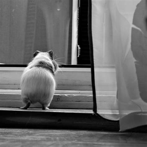 Obry By Buddy7glass On Deviantart