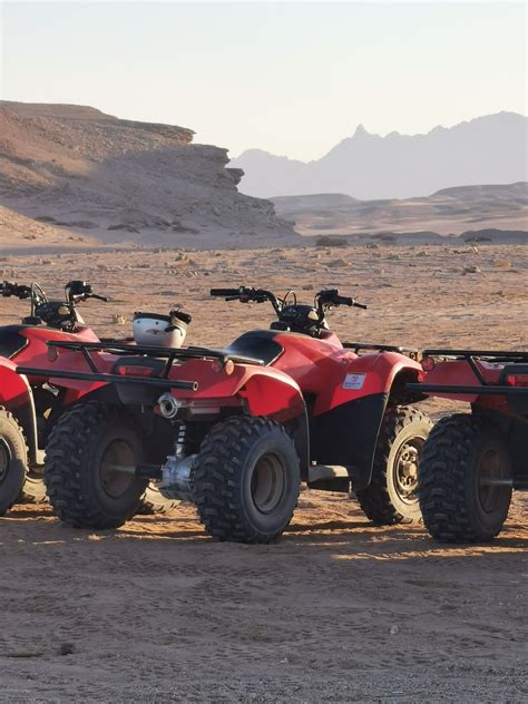 The Comprehensive Guide To The Features Of A Quad Bike Broke And Chic