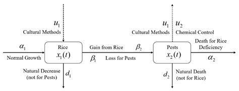 Dynamic Analysis And Control Of A Rice Pest System Under Transcritical Bifurcations [peerj]