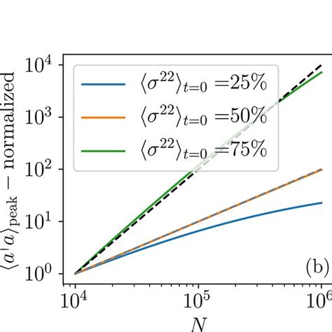 Atom Number Scaling Scan Of The Atom Number N And Initial Excitation σ