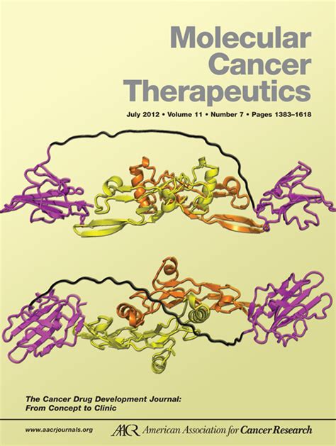 Thermal Targeting Of An Acid Sensitive Doxorubicin Conjugate Of Elastin Like Polypeptide