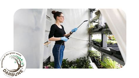 How To Prevent Pests In Hydroponic Farming Best Indoor Farming Tips