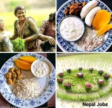 Ramesh Lamsal On Linkedin असार १५ तथा राष्ट्रिय धान दिवसको शुभकामना