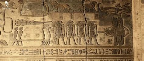 Temple Of Esna History Reliefs And Best Visitor Guide