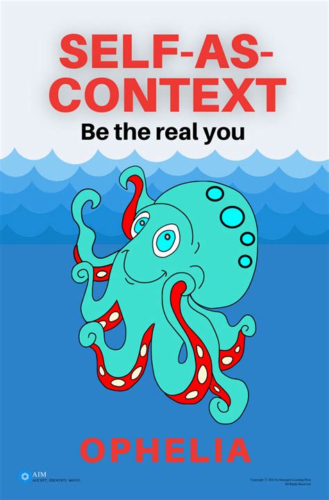 Aim Explorer Posters Emergent Learning Press