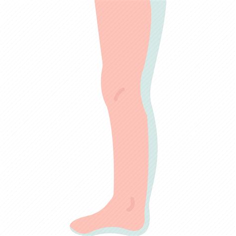 Leg Walk Biped Human Standing Icon Download On Iconfinder