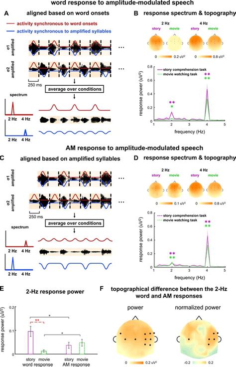 Cortical Encoding Of Acoustic And Linguistic Rhythms In Spoken Narratives Elife