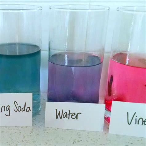 Make Your Own Ph Indicator Using Red Cabbage Artofit