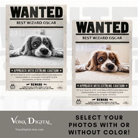 Personalized Wizard Wanted Poster Printable Pdf Witch And Etsy