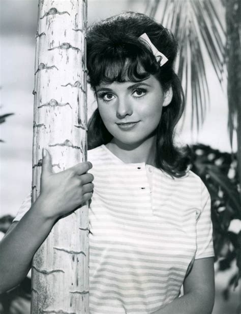 Dawn Wells Bra Size And Measurements Celebrity Bra Size Body