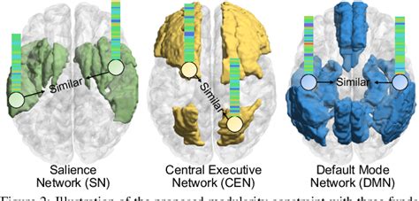 Figure 1 From Leveraging Brain Modularity Prior For Interpretable