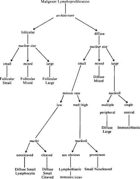 A Basic Algorithm For Canine Lymphoma Classification Download Table